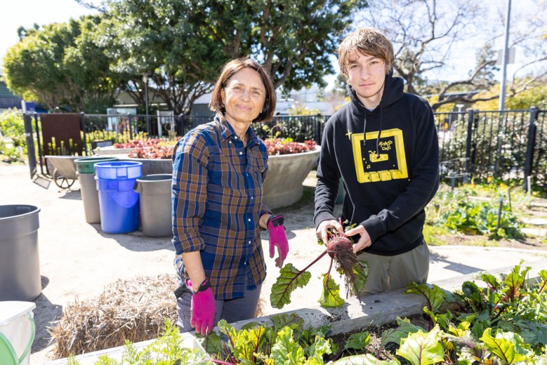 Garden Party: SMC’s Organic Learning Garden is Back & Blooming - Santa ...