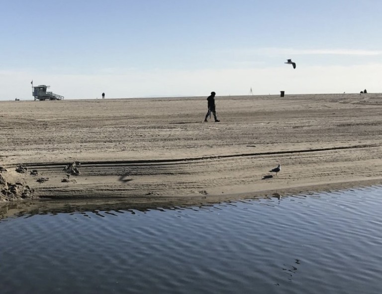 Santa Monica Beaches Closed Due to Toxic Fire Debris Runoff - Santa ...