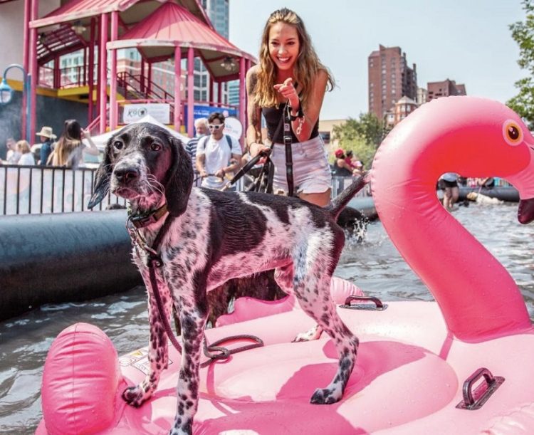 Dogs to Take Over Main Street as ‘Day of the Dog’ Festival Returns ...
