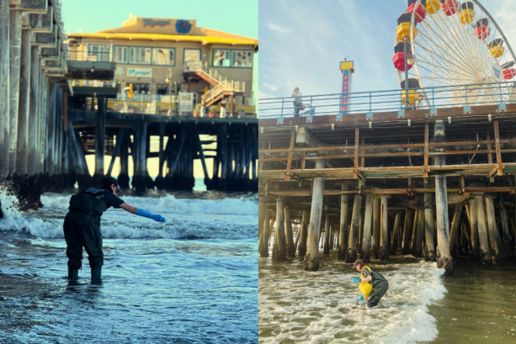 Santa Monica Pier ranked California’s second most polluted beach in ...